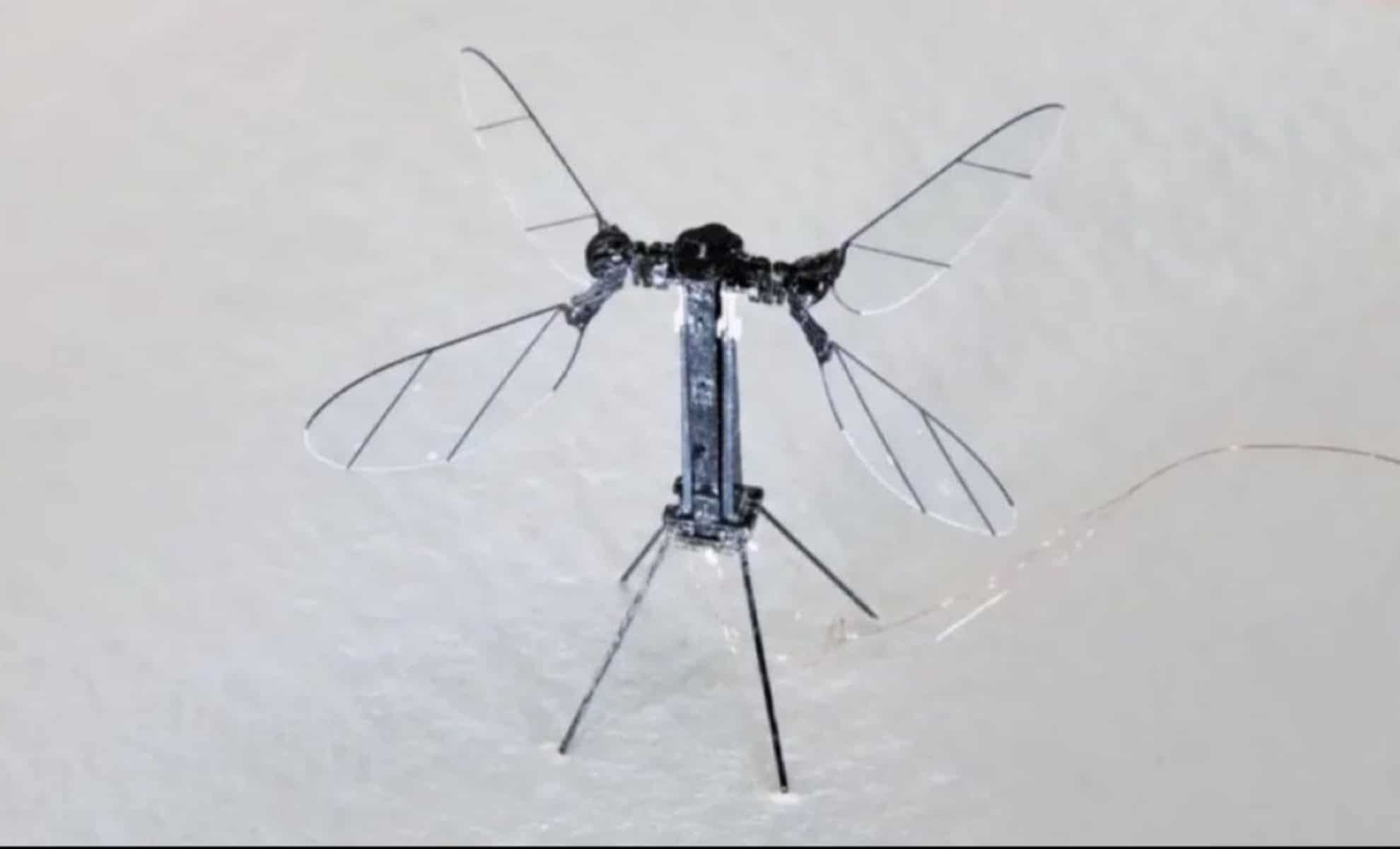 Otto Funk and his unit in Normandy: Now & Then